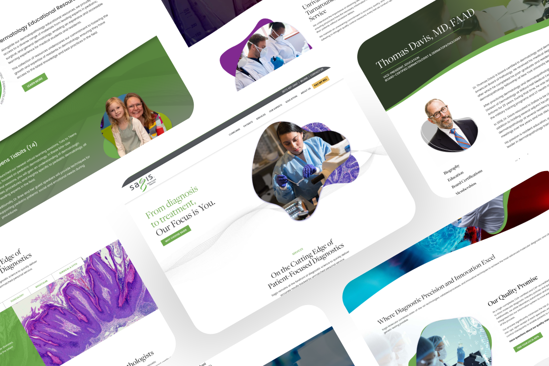 Anatomy of a Mega Website: A Sagis Case Study - BBMS